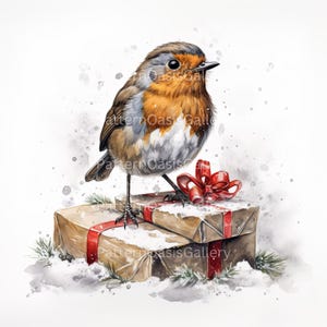 20 Robin With Gifts Clipart, Christmas Robin Clipart, Jpgs, Junk ...
