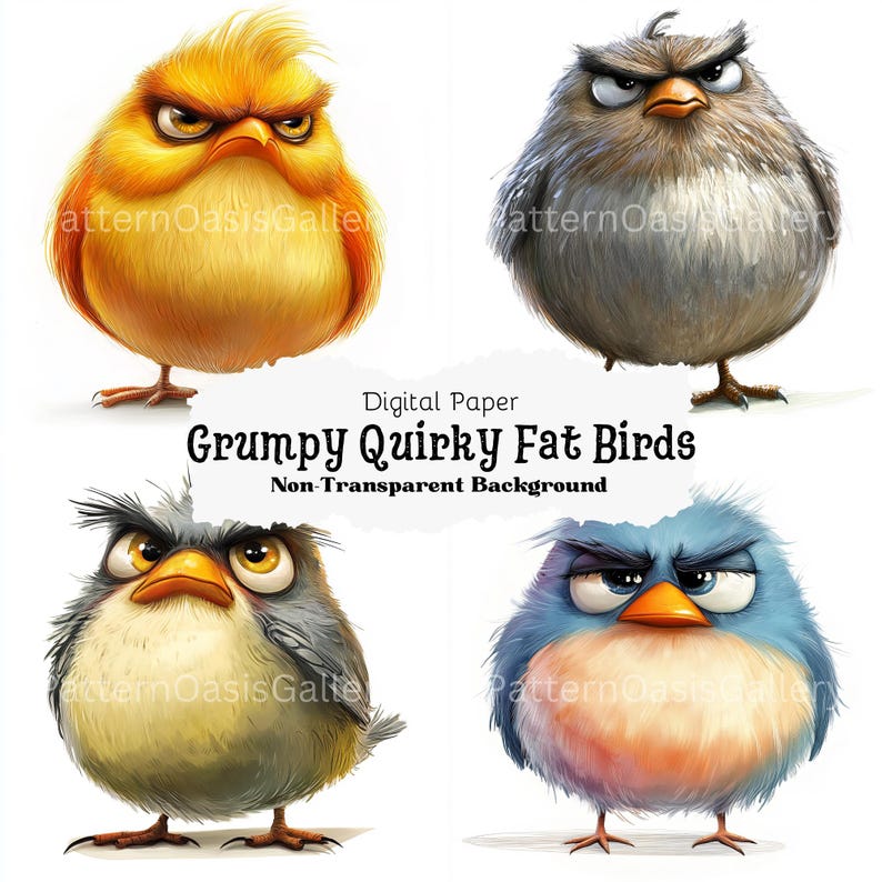 20 Quirky Fat Birds Clipart, Grumpy Birds Images, Digital Paper Craft ...