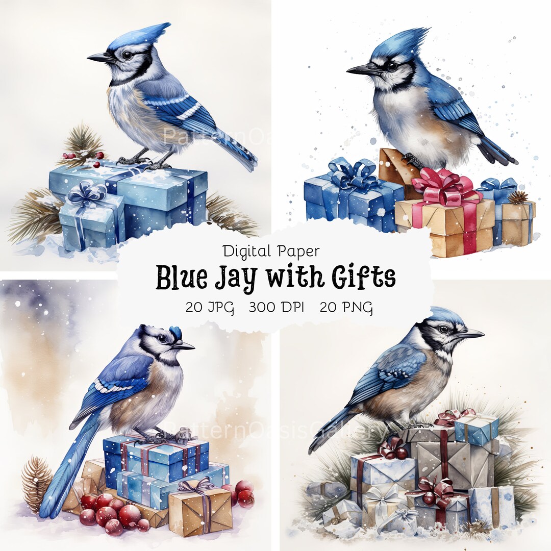 20 Blue Jay Winter Gift Clipart, Bird Clipart, Christmas Gifts ...