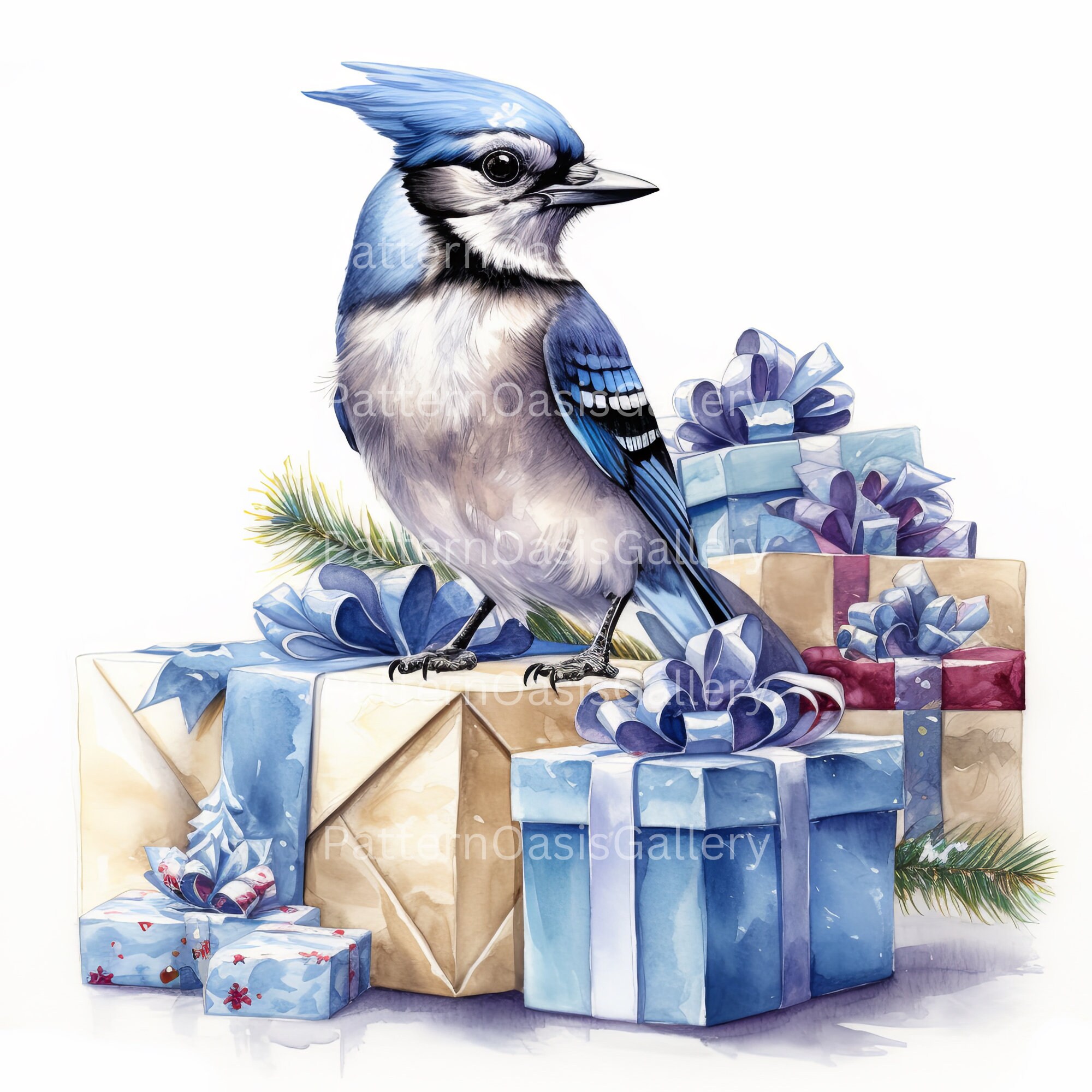 20 Blue Jay Winter Gift Clipart, Bird Clipart, Christmas Gifts ...