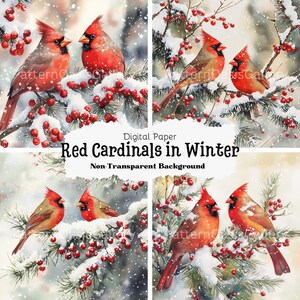 20 Watercolor Winter Red Cardinals Images, Christmas Red Cardinal ...