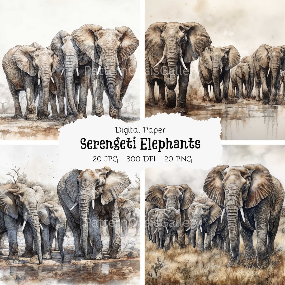 Serengeti Elephants Clip Art, 20 High Quality Designs, JPG & PNG ...