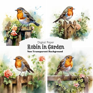 20 Watercolor Robins Bird Art Designs, 20 Jpgs, Wall Art, Bird Images ...