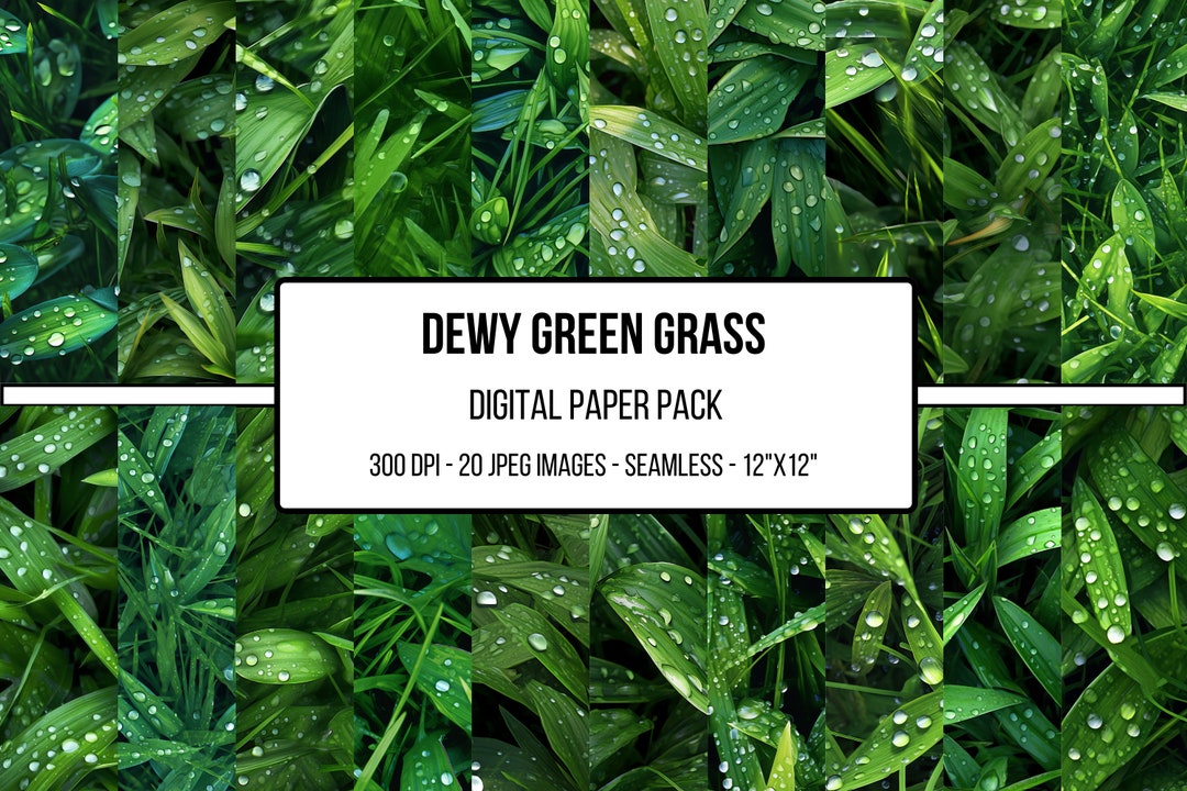 Green Dewy Grass Textures, Grass Digital Paper, Distressed Textures ...