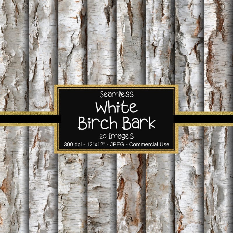 White Birch Art - Etsy