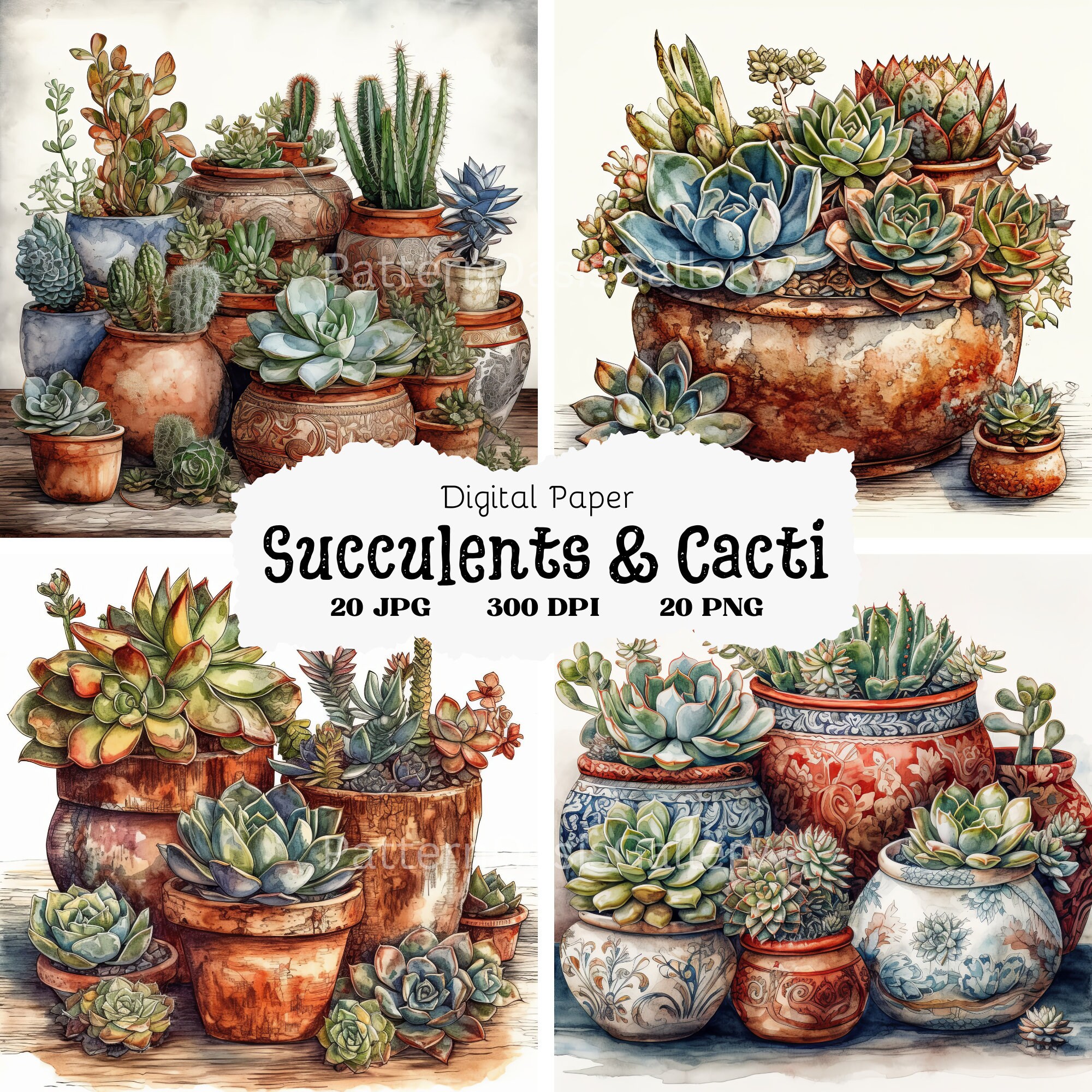 20 Designs of Succulents and Cacti Clipart, Watercolor Cactus, Cactus ...