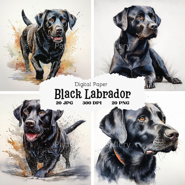 Black Labrador - Etsy