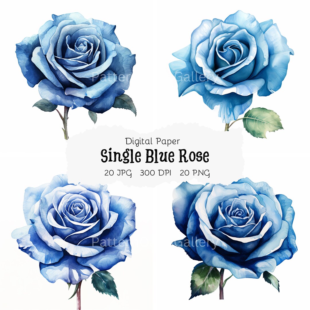 20 Blue Rose Clipart, Botanical Clipart, Floral Clipart, Watercolor ...