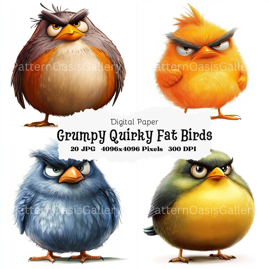 20 Quirky Fat Birds Clipart, Grumpy Birds Images, Digital Paper Craft ...