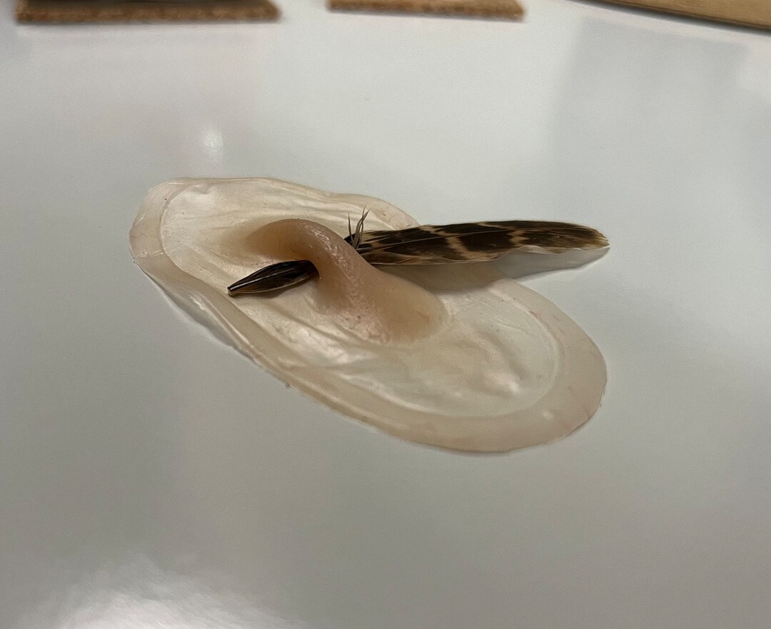 Nose Bridge / Silicone Prosthetic / Latex Free / Halloween Prosthetics ...