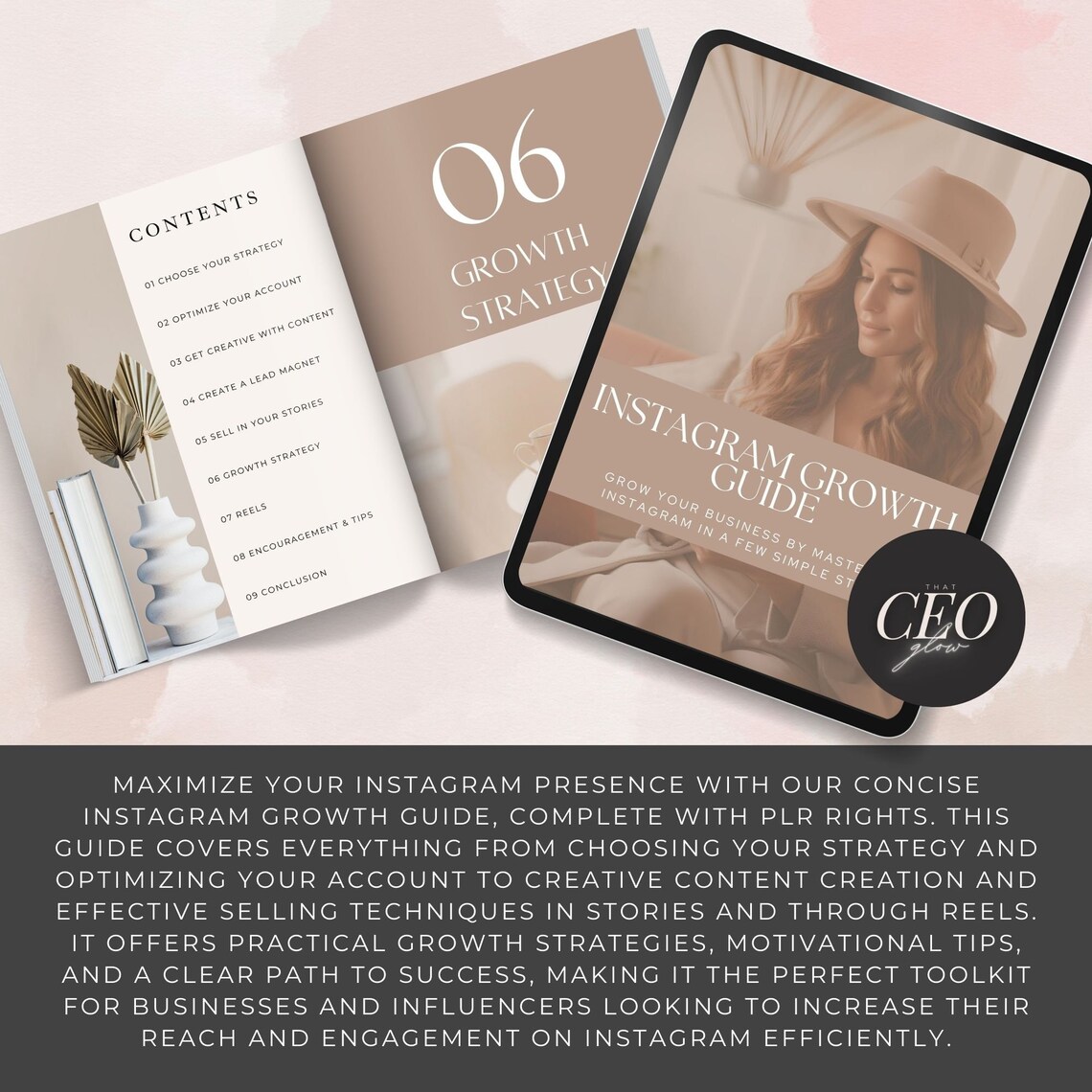 PLR Instagram Growth Guide, How to Grow on Instagram Growth Ebook ...