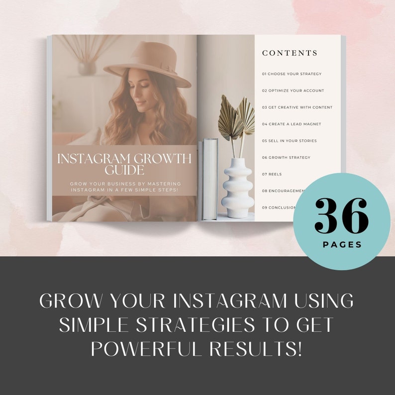 PLR Instagram Growth Guide, How to Grow on Instagram Growth Ebook ...