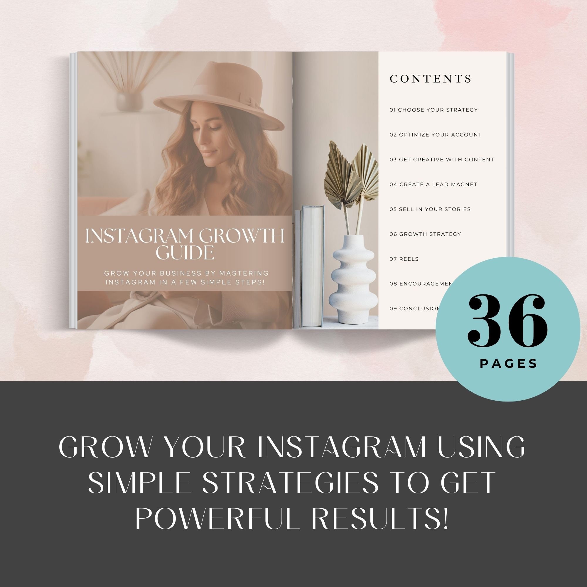 PLR Instagram Growth Guide, How to Grow on Instagram Growth Ebook ...