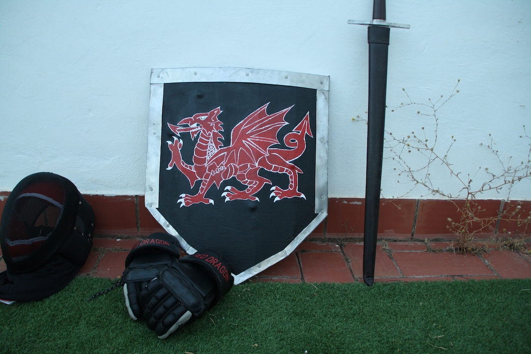 Triangle Shield, Heater Shield, HEMA, Battle Ready - Etsy