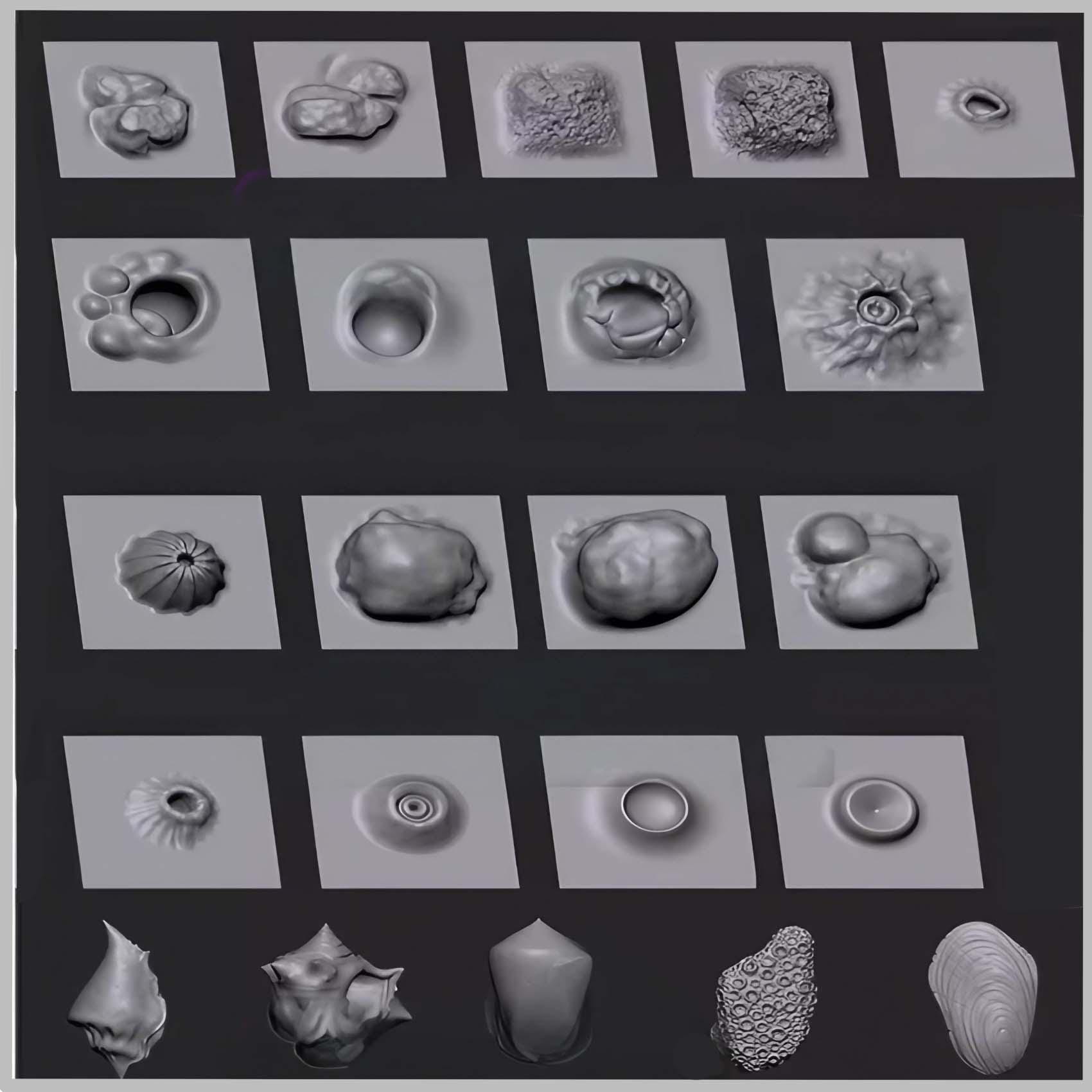 Zbrush Corrosion Skin ZB Brush Alpha Texture Map Ocean Shell Starfish ...