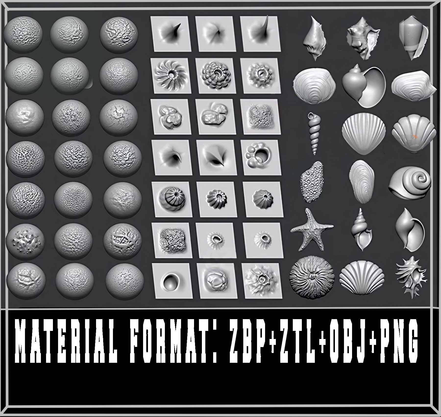 Zbrush Corrosion Skin ZB Brush Alpha Texture Map Ocean Shell Starfish ...