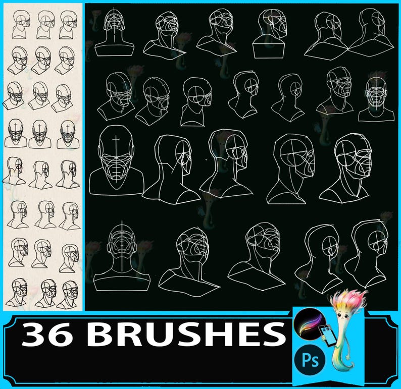 Procreate & Photoshop Brushes, Multi-angle Head Portrait Auxiliary ...