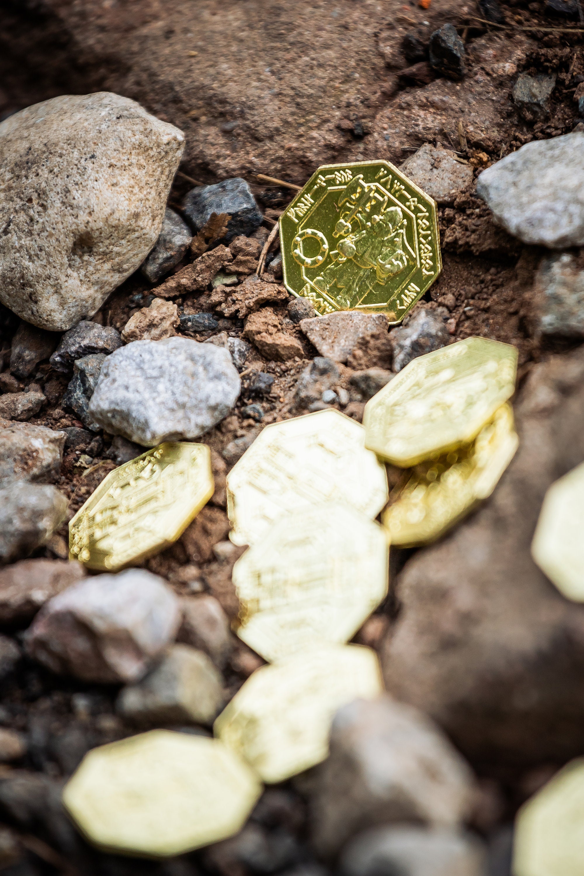 Middle-earth Coin – Dwarves – Gold of Erebor – Metal Coin for LARP ...