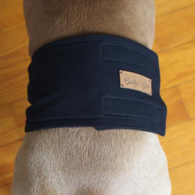 Belly Band for Dogs - Etsy