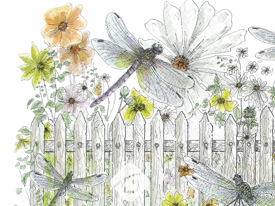 Dragonflies in Flight, Flowers, Nature, Fence Line, Open Field, Sky ...