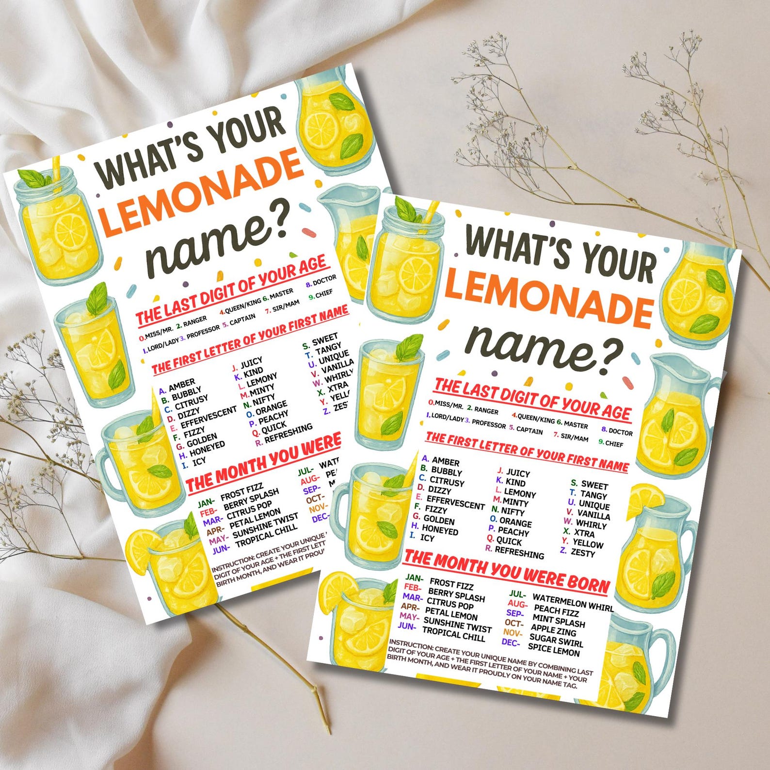 What's Your Lemonade Name Game With Nametags & Sign,birthday Games ...