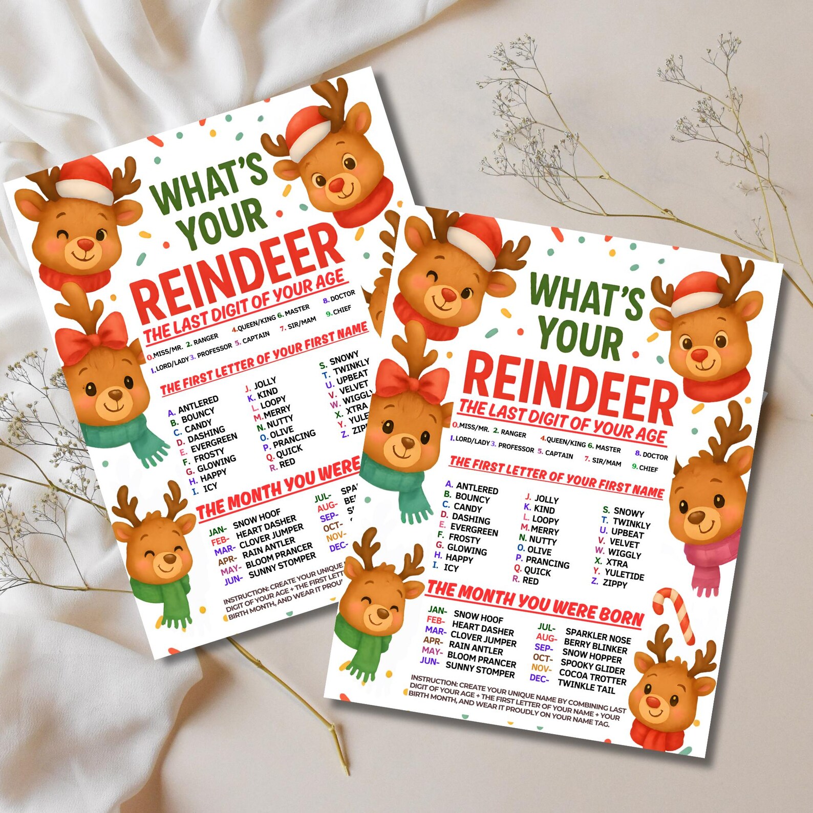 What's Your Reindeer Name With Nametags & Sign|christmas Party ...