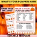 What's Your Pumpkin Name Game With Nametags|halloween Party Game ...