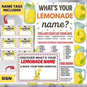 What's Your Lemonade Name Game With Nametags & Sign,birthday Games ...