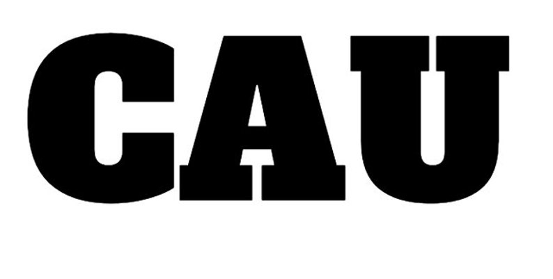 Caught Being Awesome Bulletin Board Kit - PBIS - Caught Doing Good - Etsy