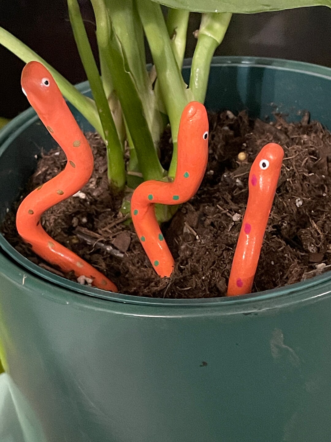 Earthworm SET of 3 , Snake, Flower Pot Decor, Houseplants , Polymer ...