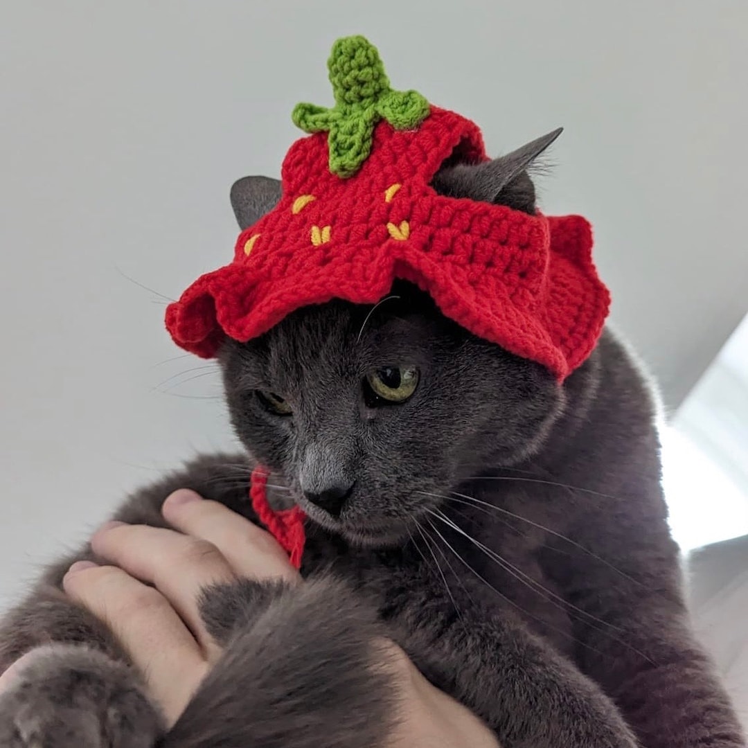 Cat Hat | Crochet | Knitted | Letterbox Gift | Handmade | Cat Lady ...