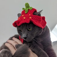 Hats for Cats - Etsy