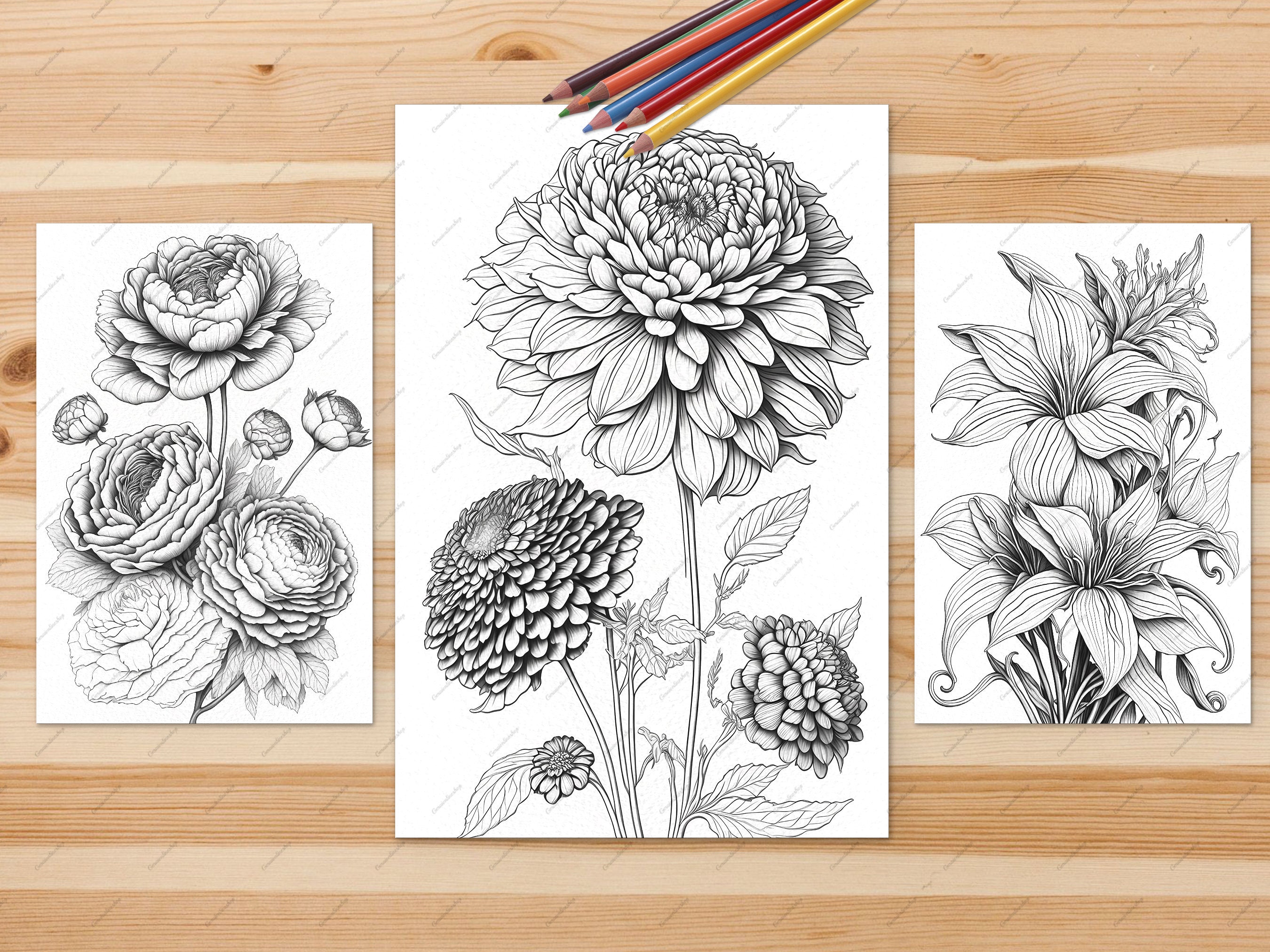 20 Printable Botanical Coloring Pages Flower Coloring Book - Etsy Australia