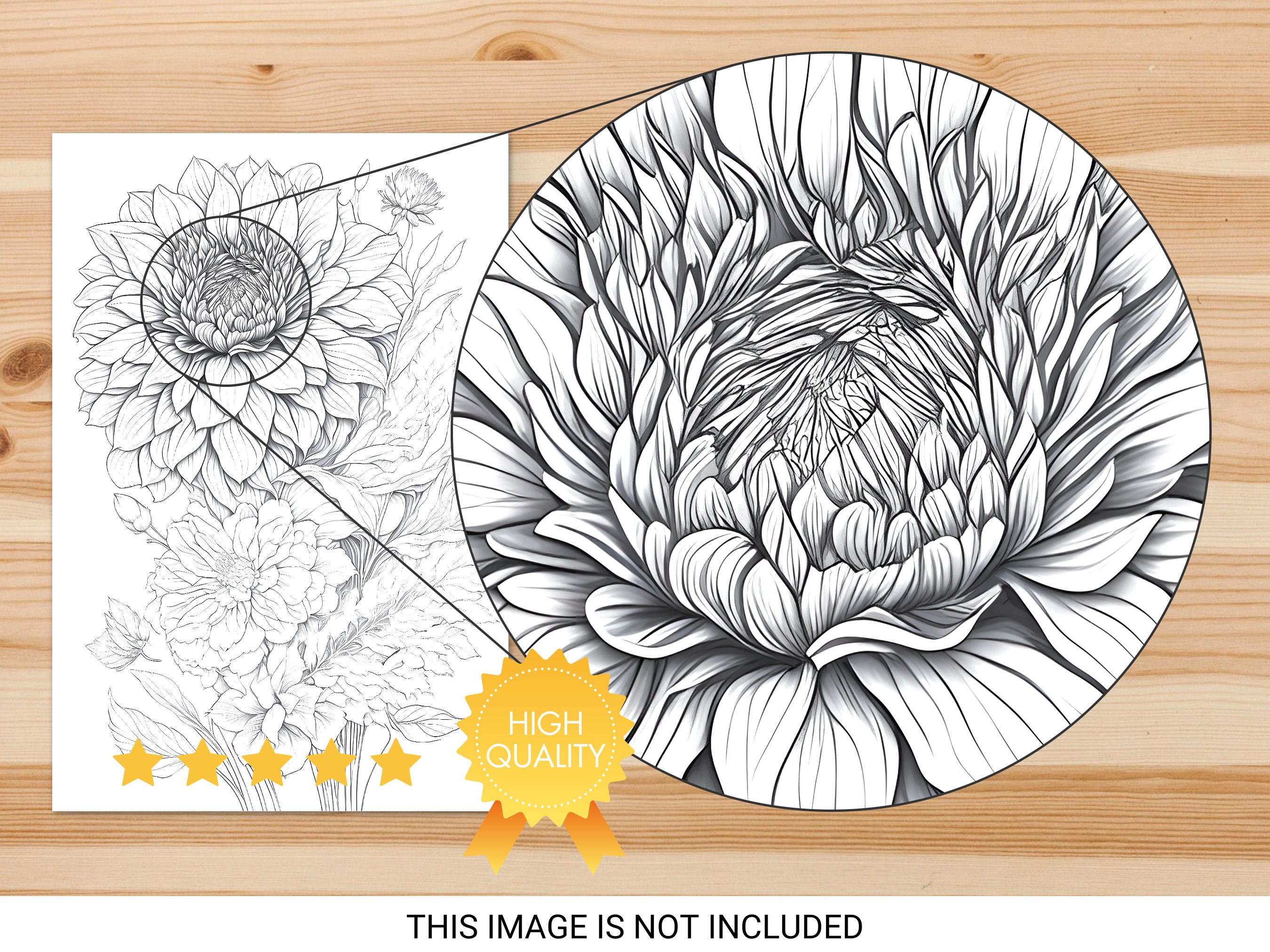 20 Printable Botanical Coloring Pages Flower Coloring Book - Etsy Australia