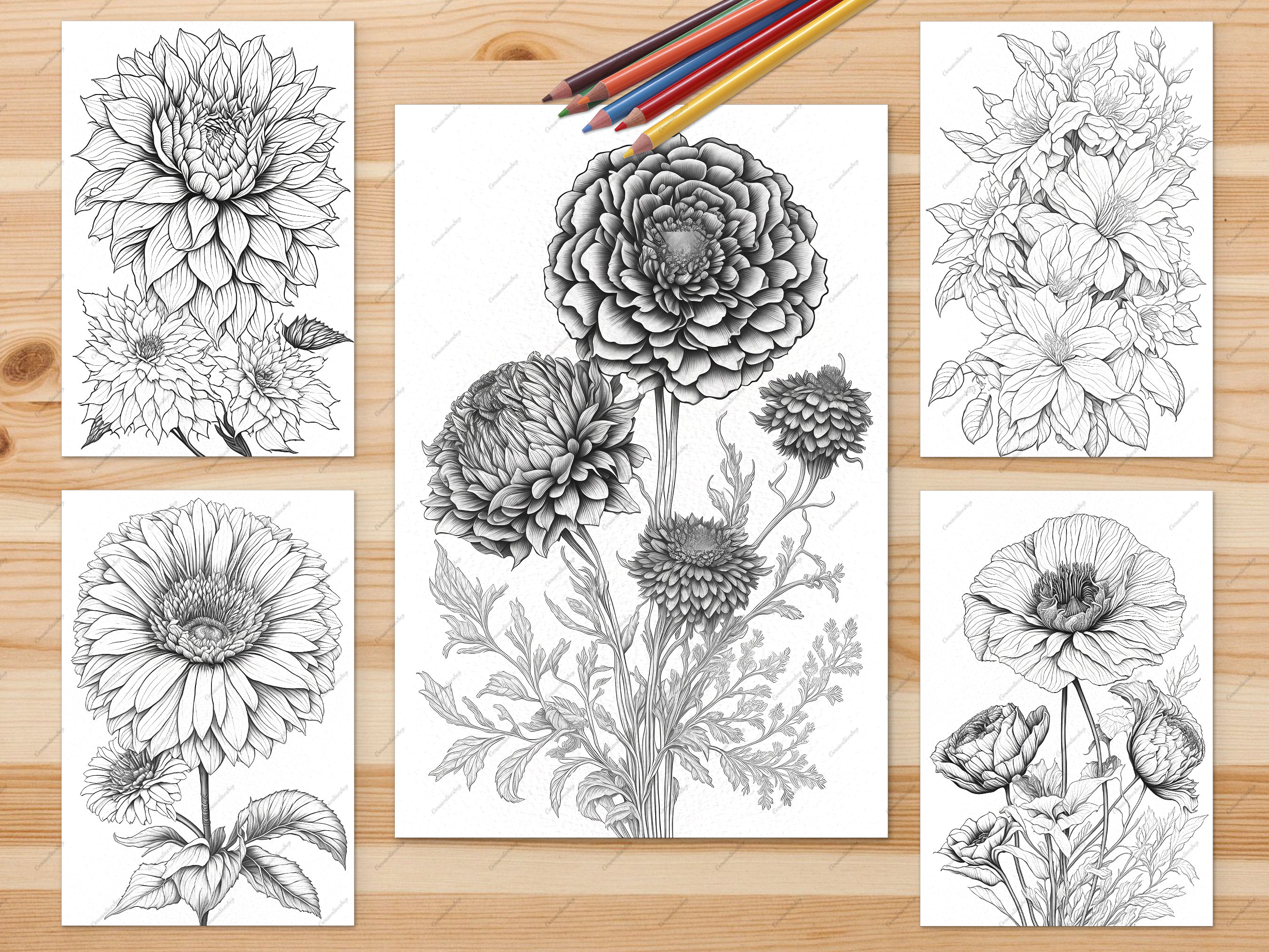 20 Printable Botanical Coloring Pages Flower Coloring Book - Etsy Australia