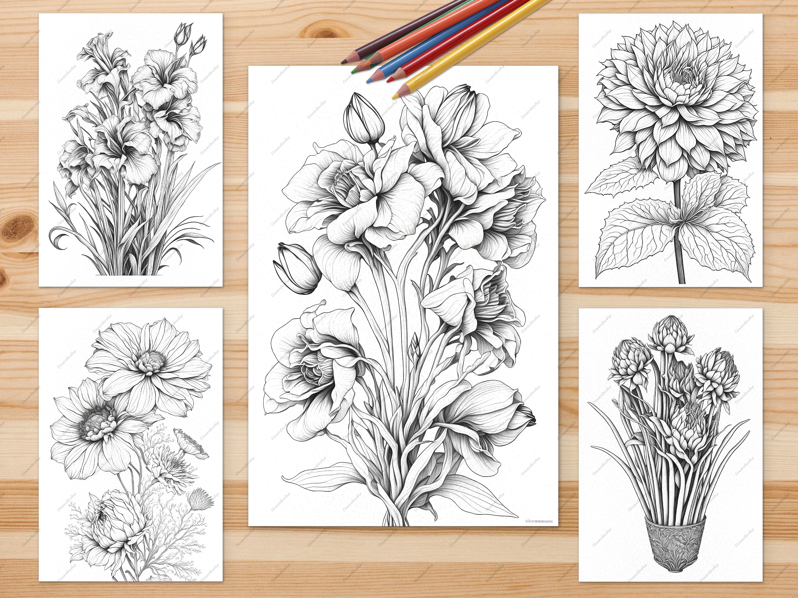 20 Printable Botanical Coloring Pages Flower Coloring Book - Etsy Australia