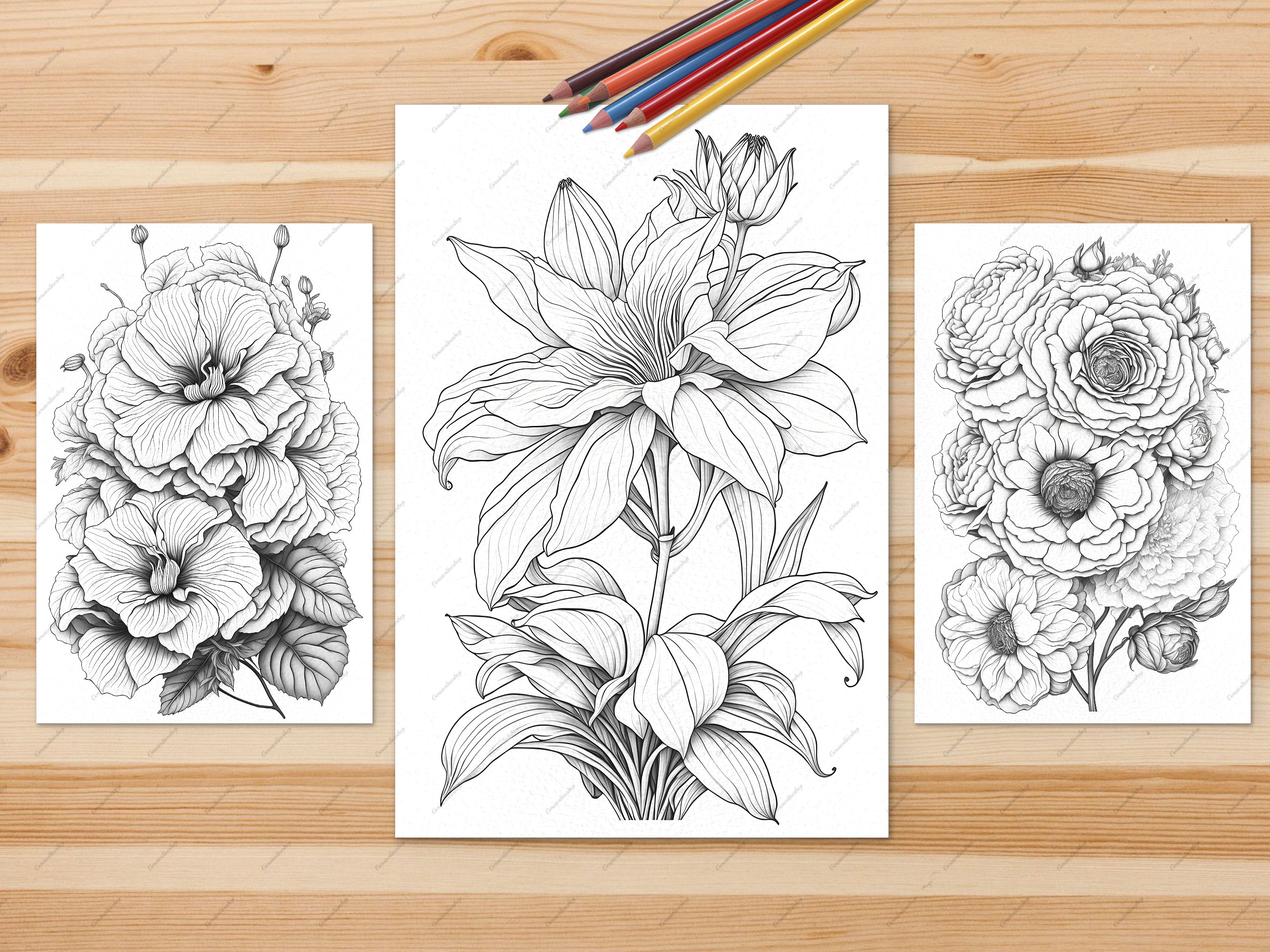 20 Printable Botanical Coloring Pages Flower Coloring Book - Etsy Australia