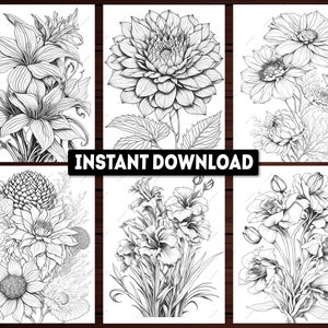 180 Botanical Coloring Pages Bundle, Botanical Coloring Book, Instant ...