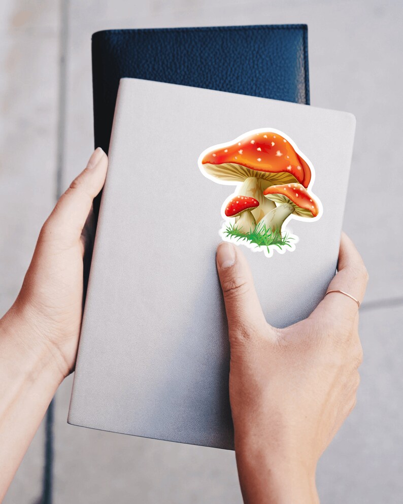 Hand-drawn Mushroom Trio Stickers Cute Christmas Gift for Laptop ...