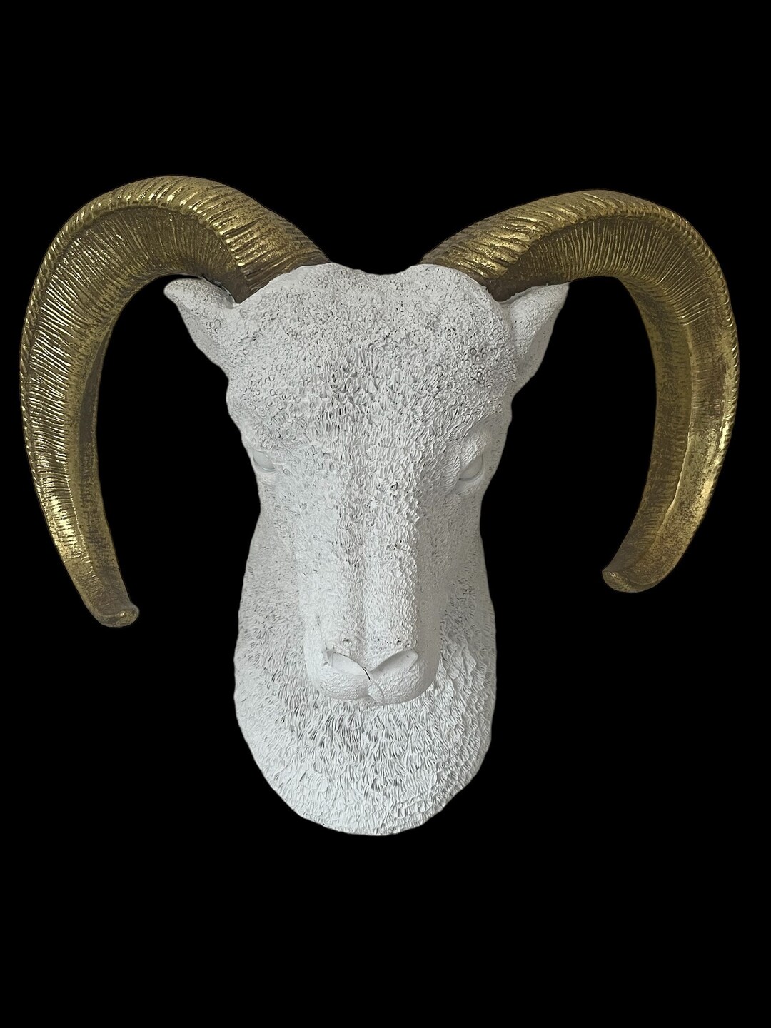 CB2 Goldie Large Horn Sheep Bust Head Wall Hanging Sculpture Home Decorative 16 - Etsy