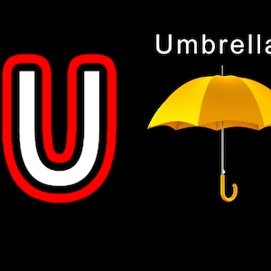 CVI Friendly Letters, High Contrast Alphabet Flashcards - Etsy