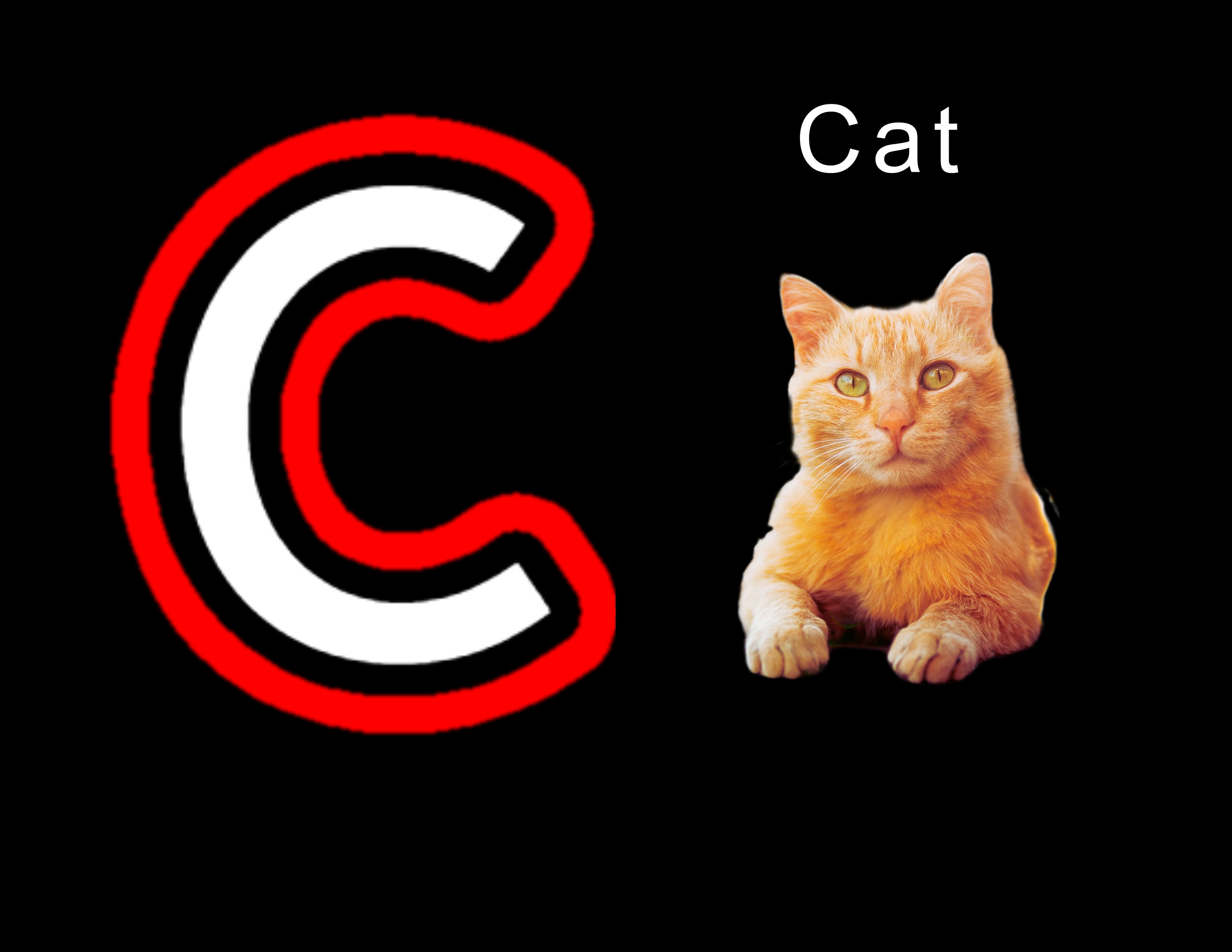 CVI Friendly Letters, High Contrast Alphabet Flashcards - Etsy