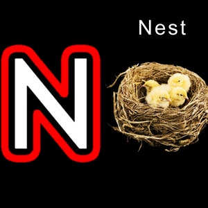 CVI Friendly Letters, High Contrast Alphabet Flashcards - Etsy