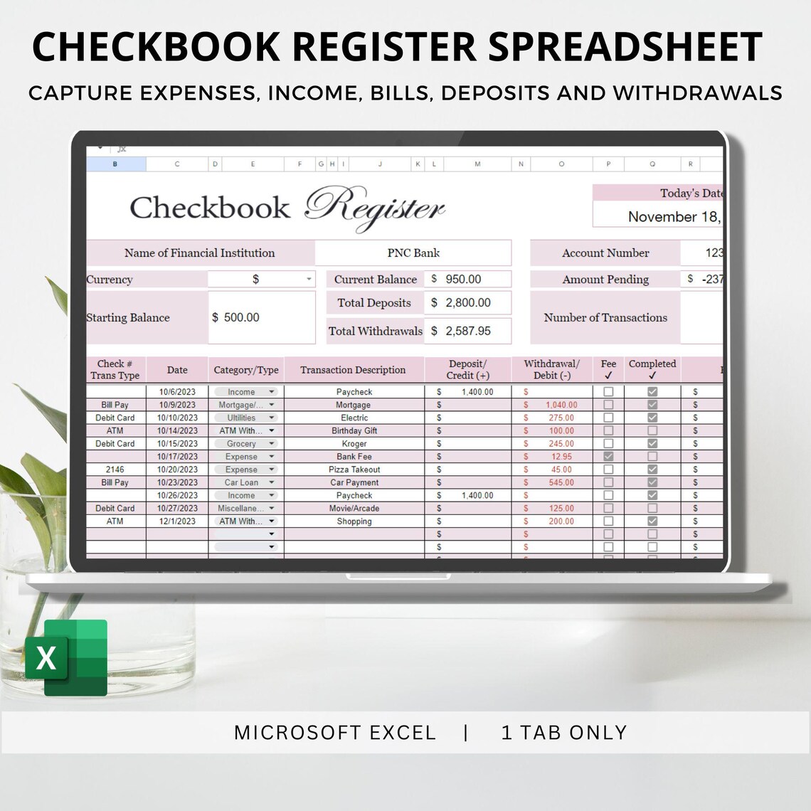 Excel Checkbook Register, Income and Expense Tracker, Pink Excel ...
