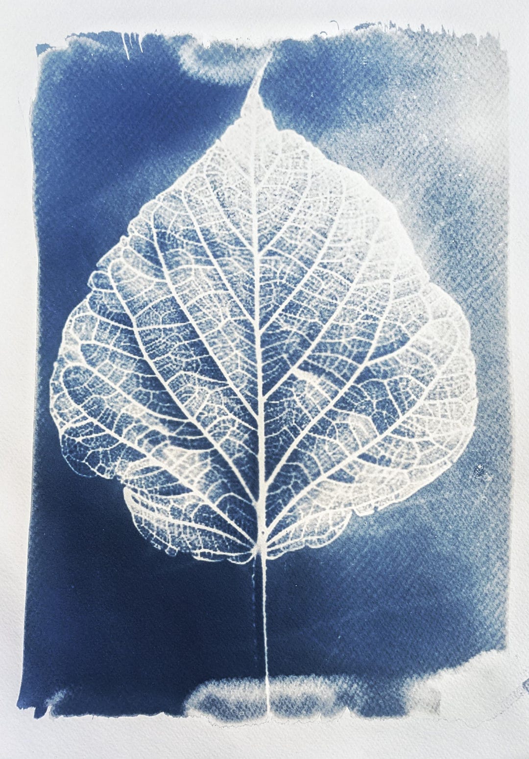 A4 Original Cyanotype Print - Etsy