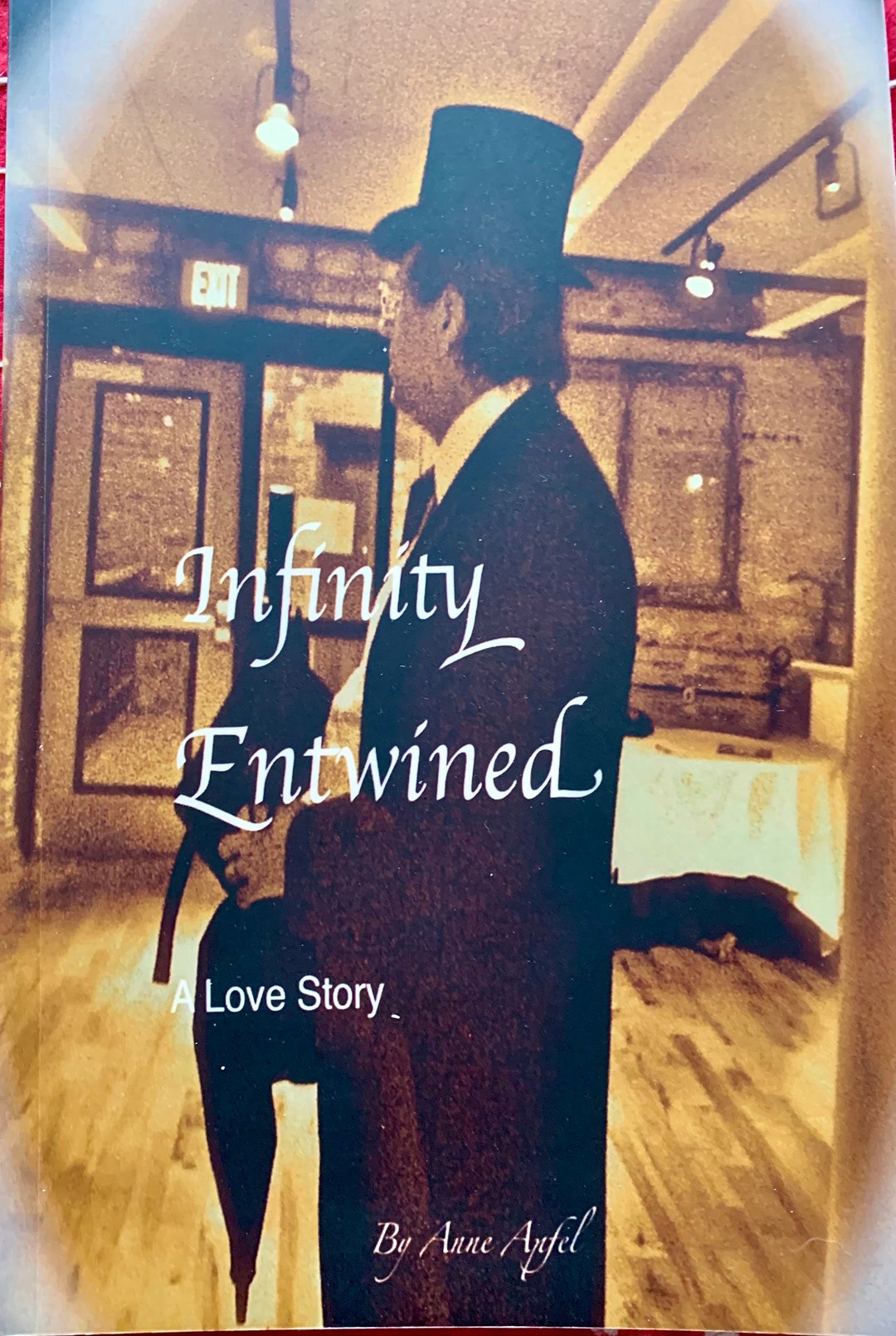 Infinity Entwined A Spiritual Love Story Between a Woman and a Ghost by ...