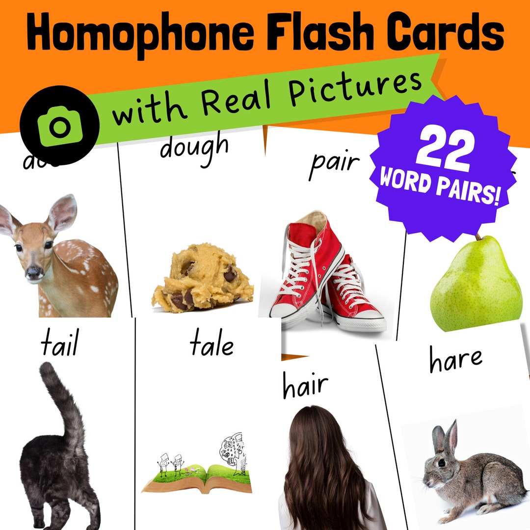 Homophone Flash Cards With REAL Photos for Ages 7-12 - Etsy