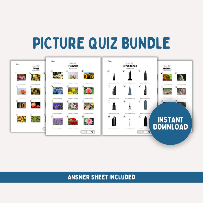 Fun Picture Quiz Bundle - Instant Download - Etsy