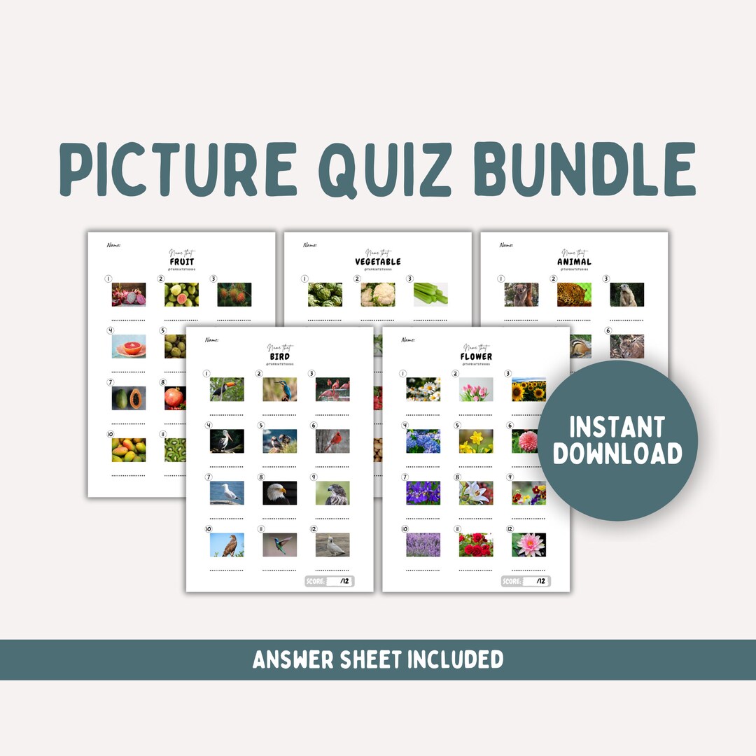 Picture Quiz Bundle, Pub Quiz Picture Round Instant Download - Etsy
