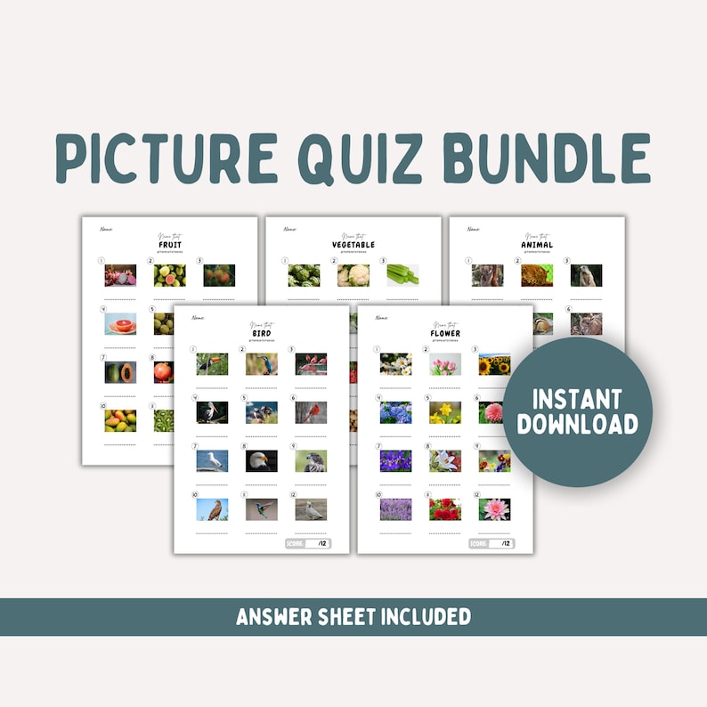 Picture Quiz Bundle, Pub Quiz Picture Round Instant Download - Etsy